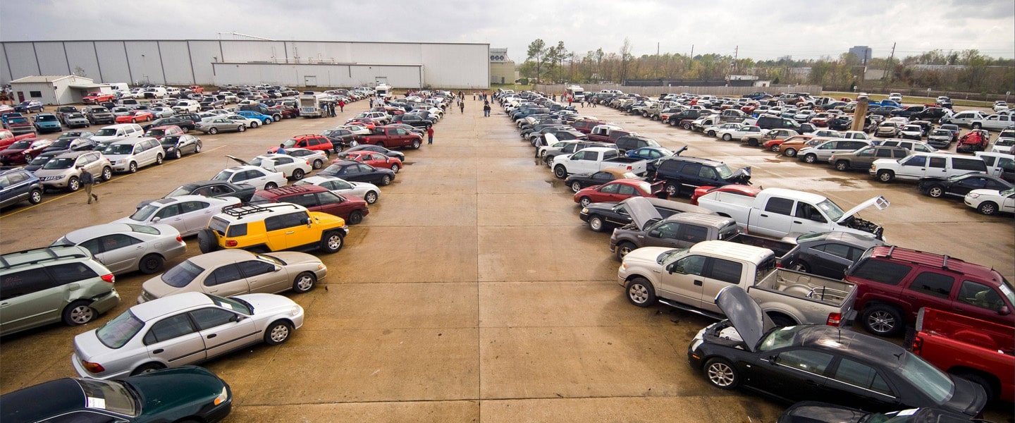 Buying cars from insurance auctions - Professional services for the ...